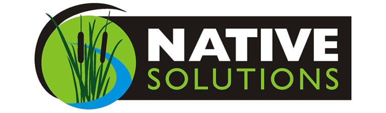 Native Solutions | MoMac Creative Agency